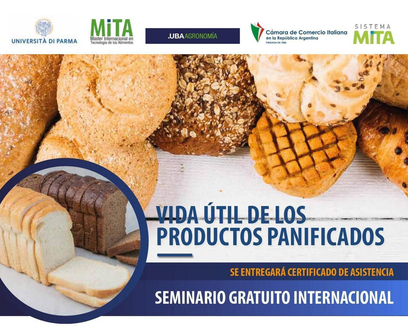 La vida útil de los productos panificados: técnicas, secretos y ...